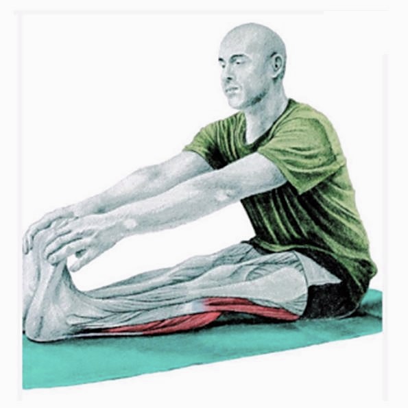 Stretching Exercises For Improving Sports Performance - Spear Dojo