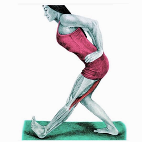 Stretching Exercises For Improving Sports Performance - Spear Dojo