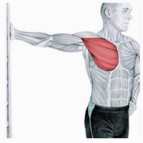 Stretching Exercises For Improving Sports Performance - Spear Dojo