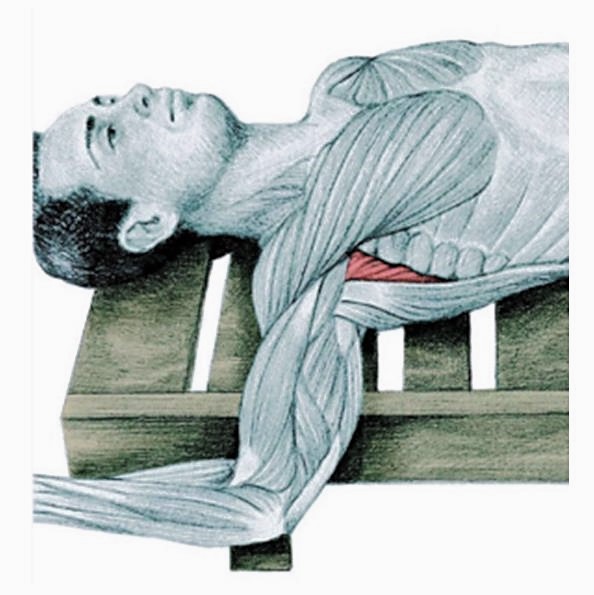 Stretching Exercises For Improving Sports Performance - Spear Dojo